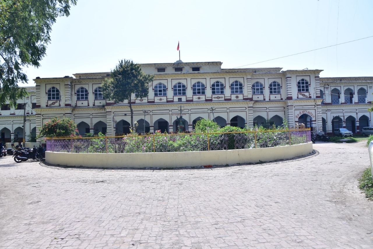 D.A.V. Degree College